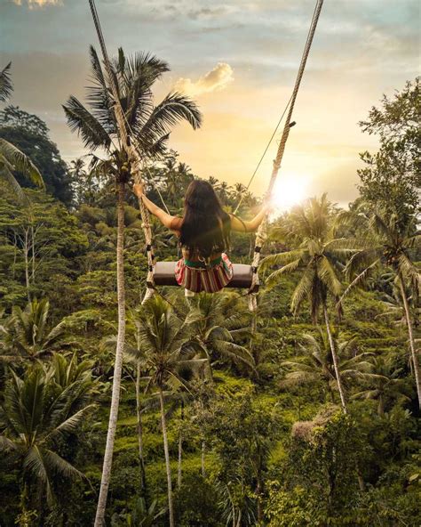 Tegallalang Rice Terraces Bali Entrance Fee Swing Cafes Tours