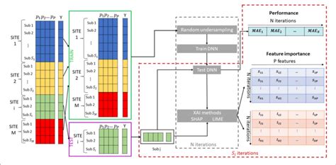 Schematic Overview Of The Explainable Dl Framework For Brain Age