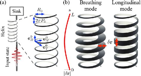 Figure 1 From Spin Dependent Momentum Conservation Of Electron Phonon