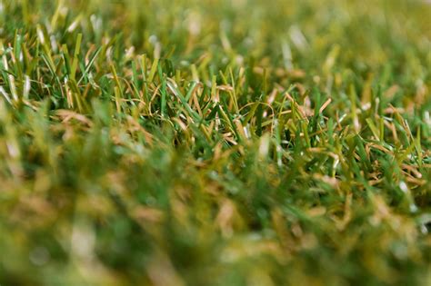 Eclipse 20mm Artificial Grass Grass Warehouse Eclipse 20mm Artificial Grass Grass Warehouse