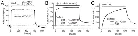 Diverse Applications Of An Anti Gst Cm5 Sensor Chip Download Scientific Diagram