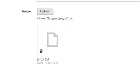 Php Ui Form Edit Functionality Image Preview In Magento Magento