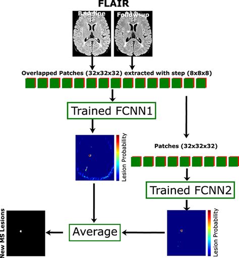 Frontiers Improving The Detection Of New Lesions In Multiple Sclerosis With A Cascaded 3d