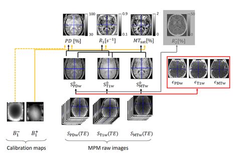 From Raw Data To Parameter Maps Bottom Row The Multi Parameter Download Scientific Diagram