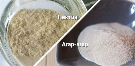 Агар-агар - польза и вред, как использовать, как правильно разводить на ...