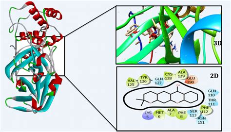 Proteinligand Interaction Diagram 3d And 2d Of Complex Between Main Download Scientific