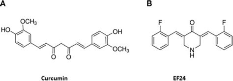 Chemical Structures Of Curcumin A And Ef24 B Download Scientific Diagram