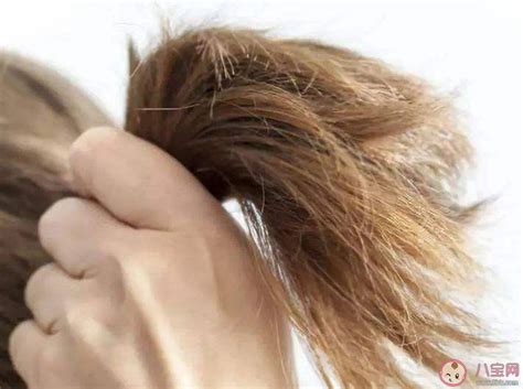 头发干枯和洗发水有关吗 头发干枯用什么洗发水好 八宝网