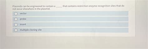 Solved Plasmids Can Be Engineered To Contain A Q ﻿that