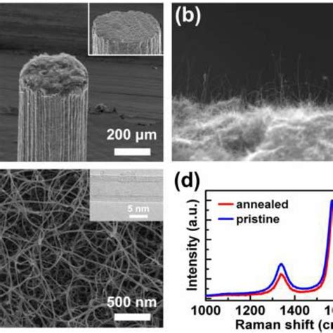 Pdf Field Emission Behavior Of Carbon Nanotube Field Emitters After High Temperature Thermal