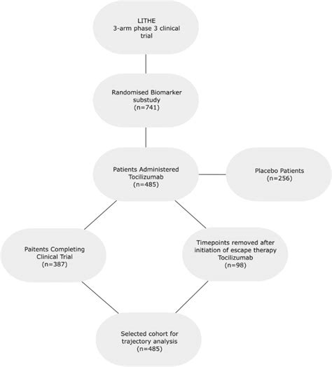 Patient Selection Flow Diagram Flow Diagram Of Selection Of Patients