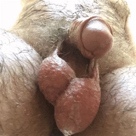 hairy balls s sex