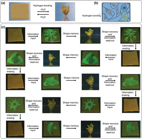 Dual Encryption With Supramolecular Recognition And Shape‐memory