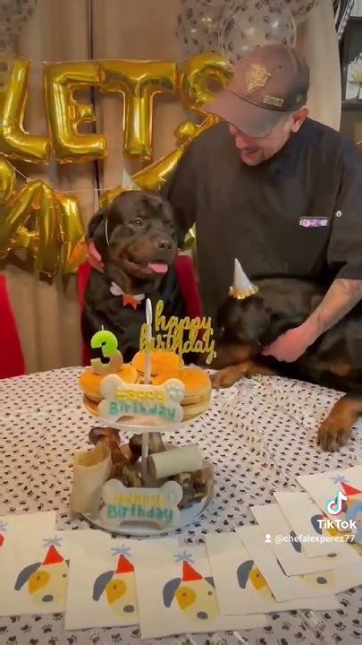 Happy Birthday Jefe Youtube