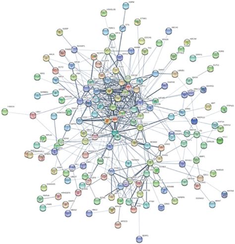 Go Function Analysis And Kegg Pathway Analysis Of Differentially Download Scientific Diagram