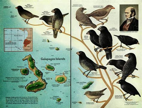 Flying Across The Seas The Legacy Of Charles Darwin
