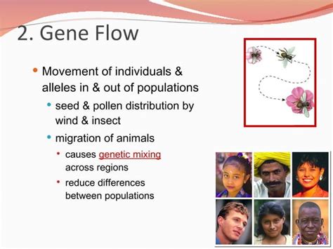 Evolution Of Populations Ppt