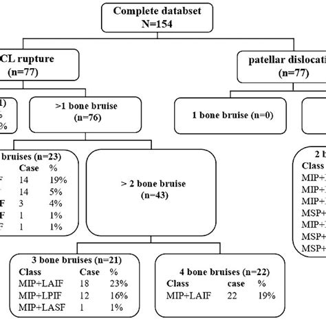 Classification Tree Of One Bruise Patterns Of Acl Rupture And Patellar Download Scientific