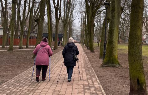 На пенсию по старости больше никто не выйдет новый график выхода на пенсию в 2025 таблица по