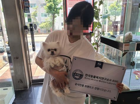 포메라니안 덕배 사모예드 도베르만 꼬똥드툴레아 진돗개 친칠라 고양이수명 개 차우차우 퍼그 코카스파니엘 빠삐용 베들링턴테리어