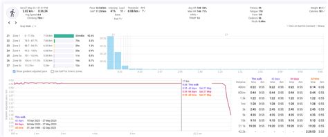 activating gap in walk activity pace curve shows weird data bug