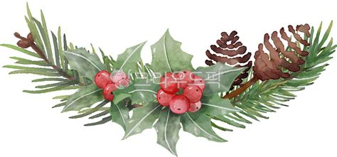 빨강 크리스마스열매 수채화솔방울 호랑가시나무 빨간열매나무 사진 이미지 일러스트 캘리그라피 Ok디자인작가
