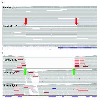 A Sanger Sequence For The Couple From Family 1 Confirmed That The Download Scientific