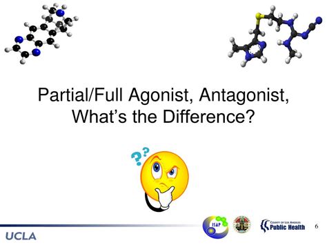 Ppt Implementation Of Antagonist Medication Into Sud Treatment System Powerpoint Presentation