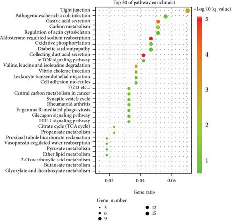 Go And Kegg Analyses Of Module Genes Go Terms A And Kegg Enrichment Download Scientific