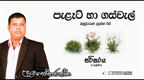 පැළෑටි හා ගස්වැල් බහුවරණ ප්‍රශ්න 50 Udaya Senarathna Youtube