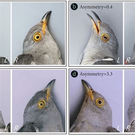 A Figure Illustrating The Interaction Effect Between Total Iris Download Scientific Diagram