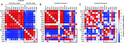 Coactivation Patterns Of Regulators In Ancestral And Evolved Colonies