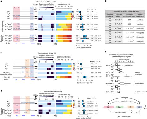 Combining Mutations In Conserved Cis Regulatory Regions Reveals Download Scientific Diagram