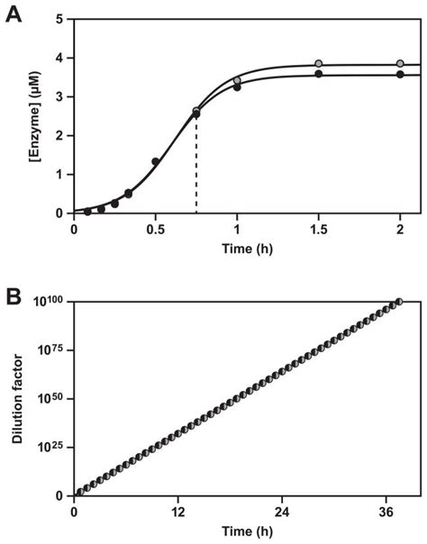 Highly Efficient Self Replicating Rna Enzymes Pmc