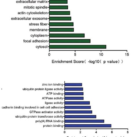 predicting the functions of differentially expressed circrna host download scientific diagram