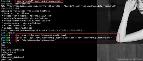 Openstack部署之placement项目（7 4）placement命令不能执行 Csdn博客