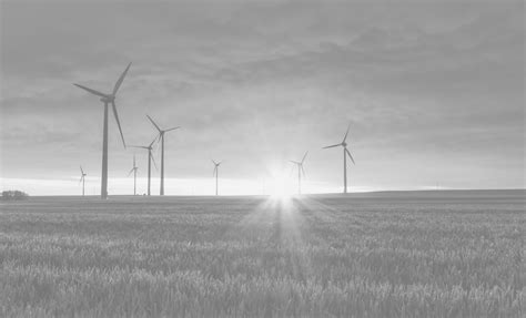 Sbti Launches World First Net Zero Corporate Standard Science Based