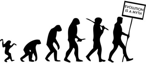 Evolution Or Devolution The Tiddster