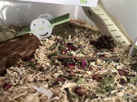 D3 Bd1160 1228 49 Dd B916 Da6867498264 — Postimages