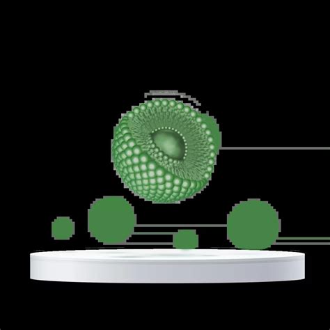 เกี่ยวกับเรา Nap Biotec Co Ltd