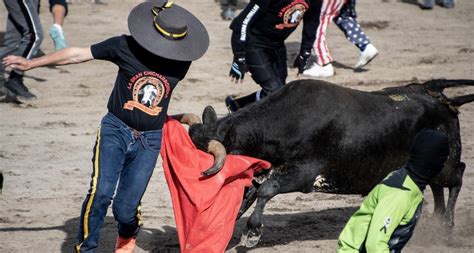 Costa Rica Bullfighting Rodeo Toros A La Tica Diario El Salvador