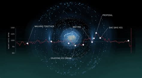 Data Visualization Marriage  Wiffle