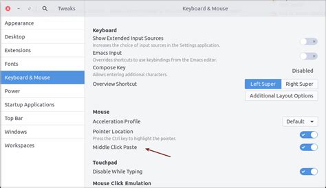 Mouse Paste Content With Middle Click Doesnt Work In V6 · Issue 309