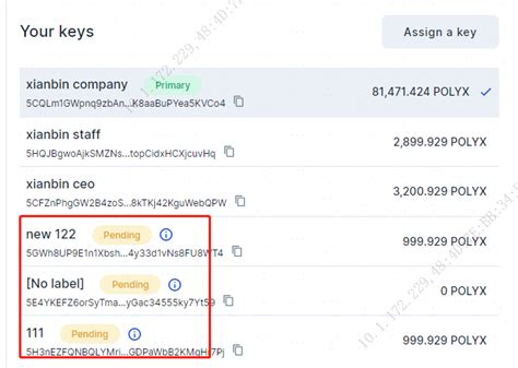 View The Key In Pending Status Issue PolymeshAssociation Polymesh Sdk GitHub