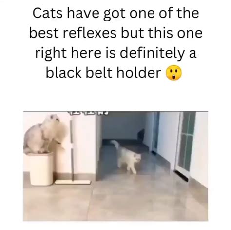 Haters Gonna Say Its Fake Rdumplingmeme