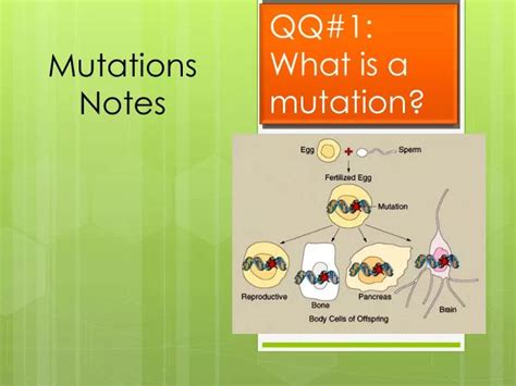 ppt mutations notes powerpoint presentation free download id 1888795
