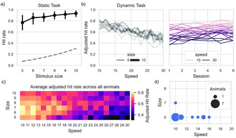 Proficiency In The Static Task A And Dynamic Task B D A Absolute Download Scientific