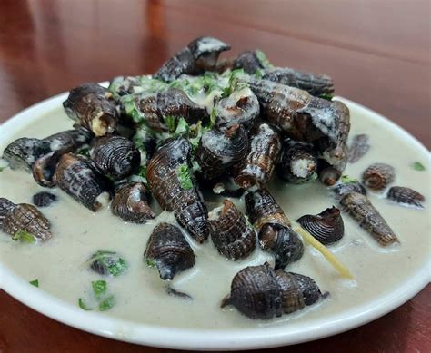 What Type Of Food Do Sea Snails Eat At Julian Byrd Blog