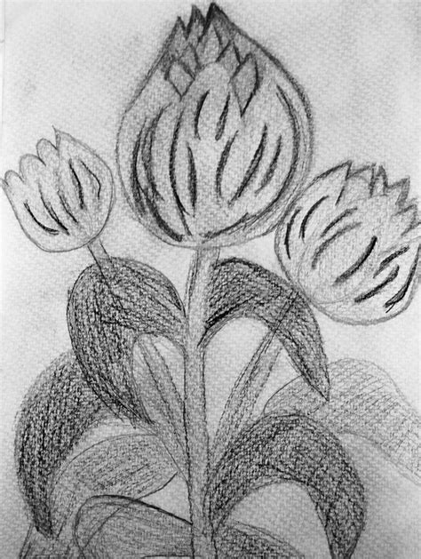 Иллюстрация Цветок счастья в стиле академический рисунок графика