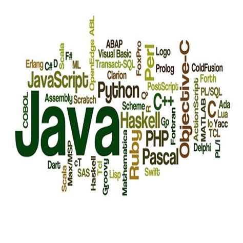 순서도 And 프로그래밍 언어